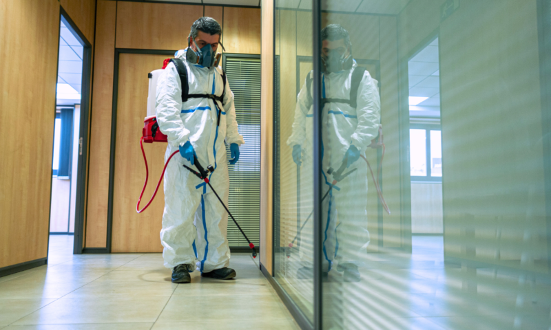 Servicio de Fumigaciones- Seppsa Seppsa tu mejor opción 🎯